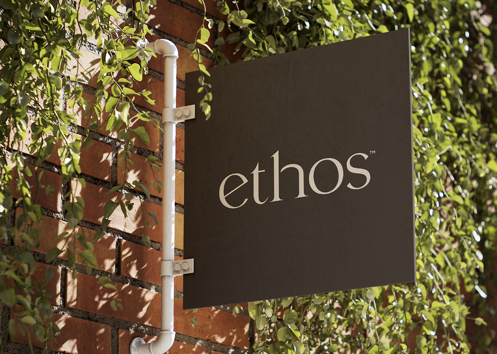 Sustainable Skincare Brand Design – Ethos | Husk Creative Auckland